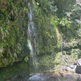 Newton’s Waterfall from Akaroa, Canterbury, New Zealand - 128 Reviews ...