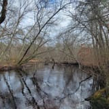Winding River Park Trail, New Jersey - 579 Reviews, Map | AllTrails