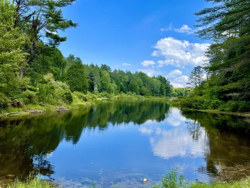 Best Hikes and Trails in Gilbert Lake State Park | AllTrails