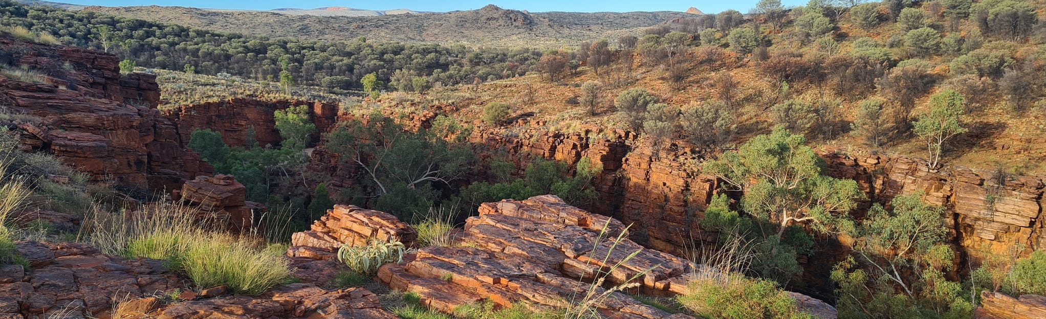 Ridgetop Trail to Chain of Ponds: 56 foto's - Noordelijk Territorium ...