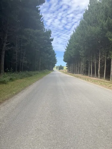 Best Hikes and Trails in Bottle Lake Forest Park | AllTrails