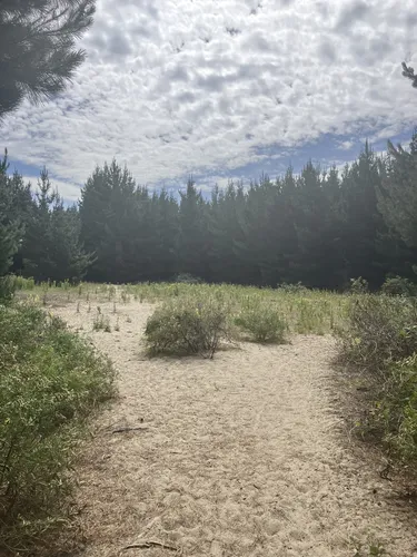 Best Hikes and Trails in Bottle Lake Forest Park | AllTrails