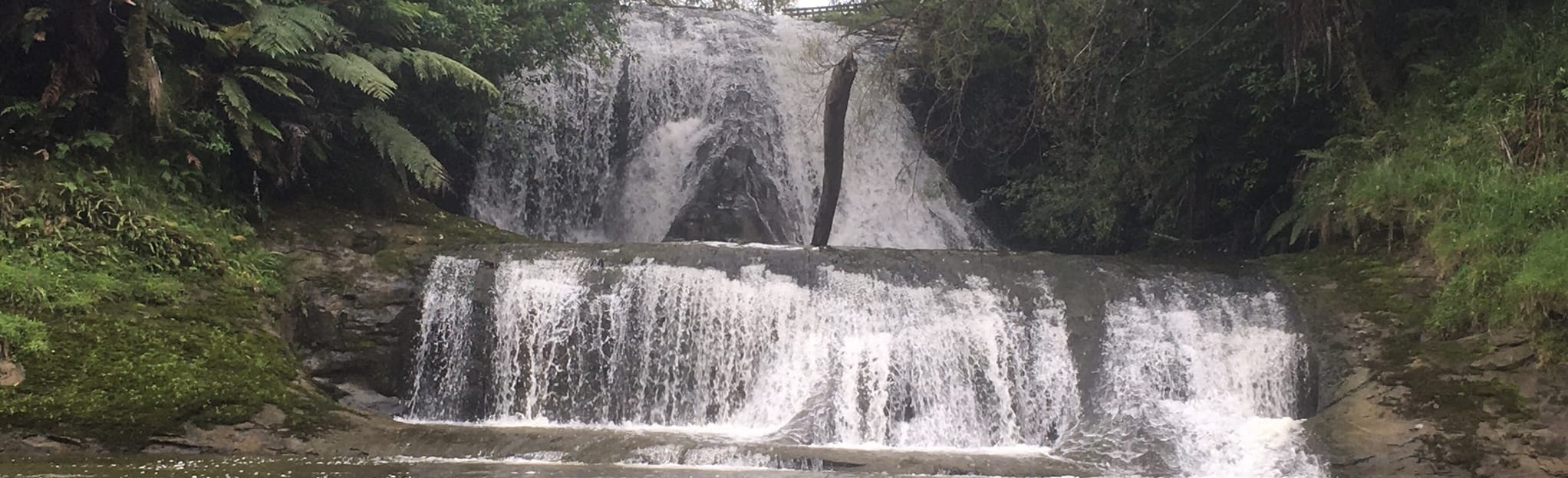 Whanganui Journey: Ohinepane to Whakahoro Campsite: 20 Fotos - Manawatu ...