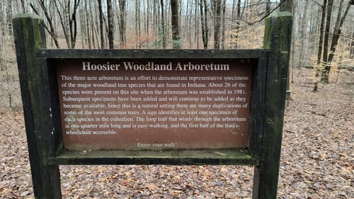 Best Hikes and Trails in Martin State Forest--Indiana | AllTrails