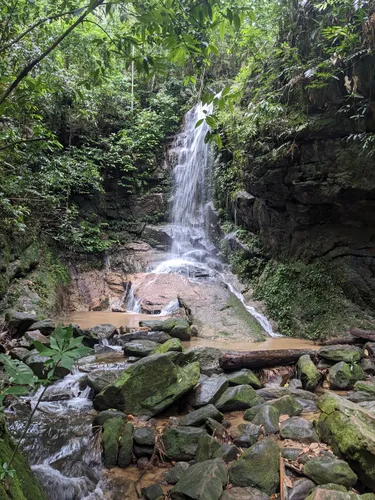 10 Best Hikes and Trails in Tijuca National Park | AllTrails
