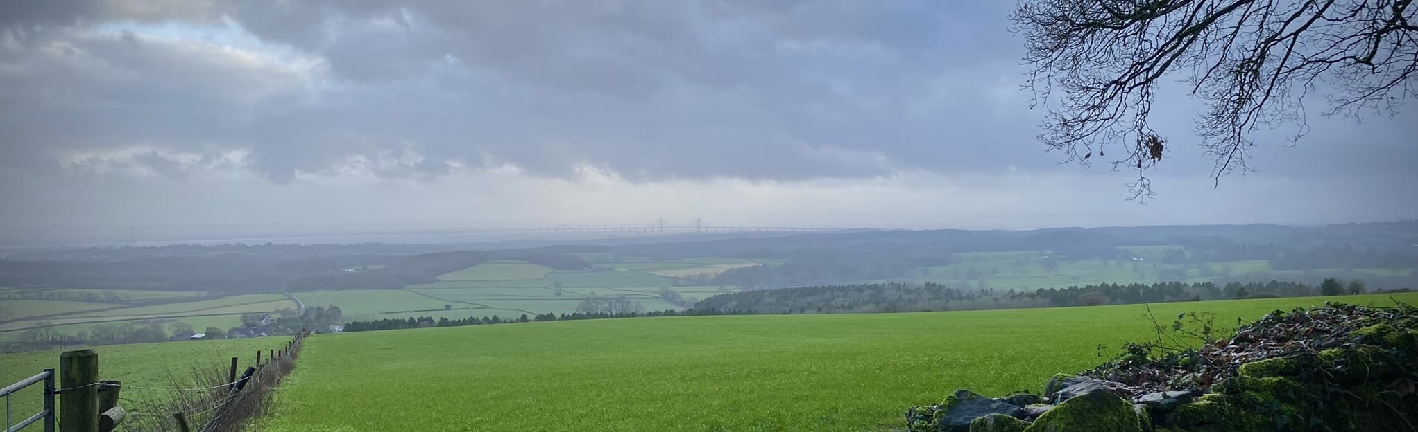 Chepstow Park Wood: 7 Reviews, Map - Monmouthshire, Wales | AllTrails