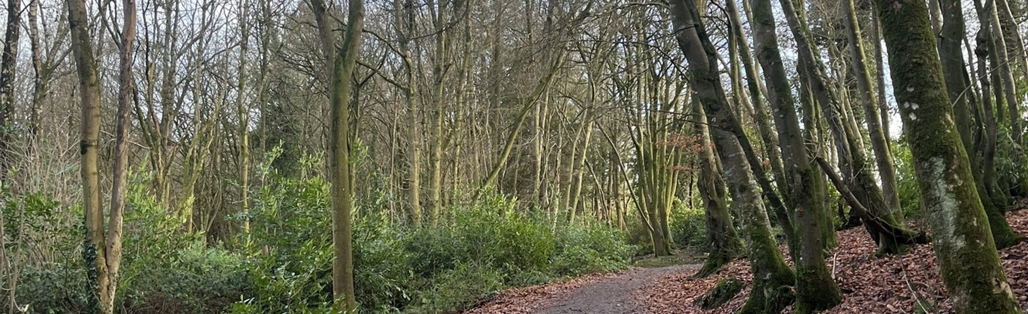 Clare Glen River Trail, Armagh City, Banbridge and Craigavon, Northern ...