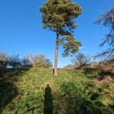Burrough Hill and Leicestershire Circular Walk, Leicestershire, England ...
