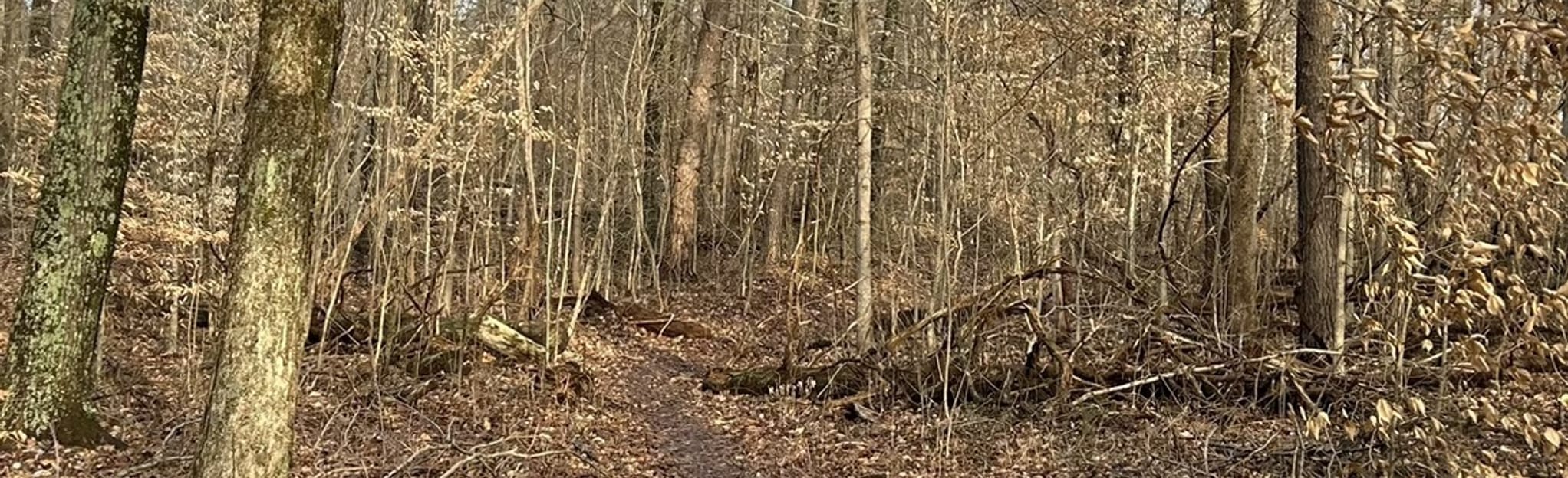 Knobstone Trail: New Chapel to Leota, Indiana - 112 Reviews, Map ...