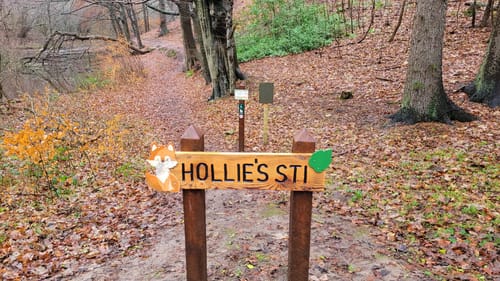 2023 Best Backpacking Trails in Taulov | AllTrails