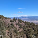 Stultz Trail, Colorado - 121 Reviews, Map | AllTrails