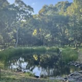 Gresswell Forest Loop, Victoria, Australia - 300 Reviews, Map | AllTrails
