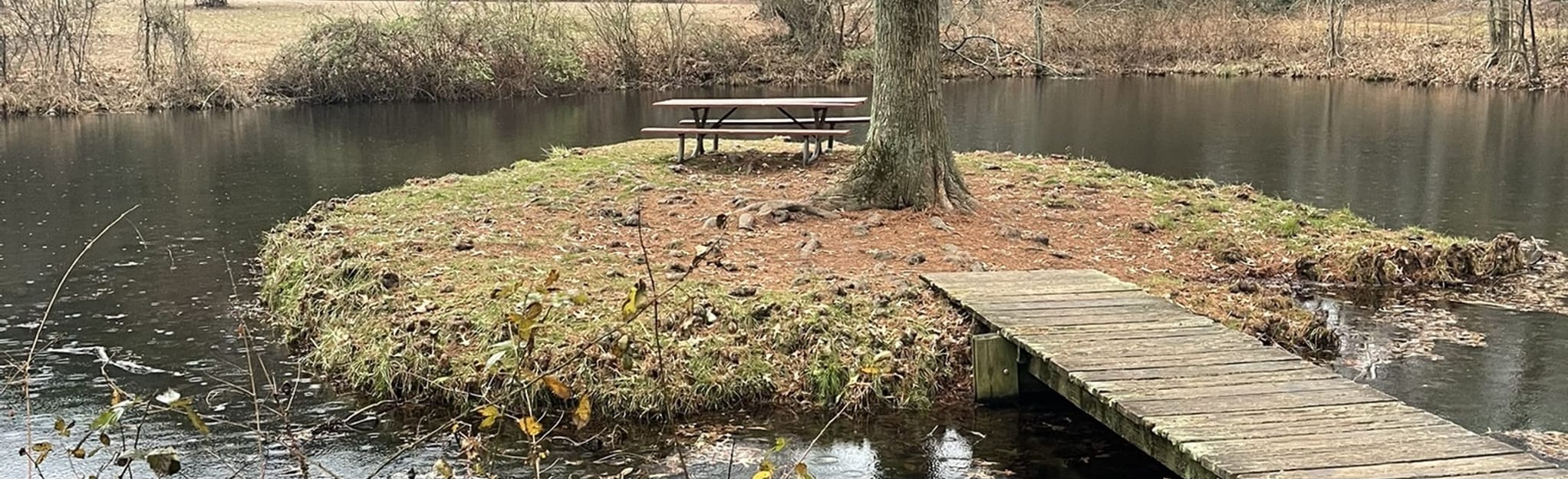 Pondside Trail, Maryland - 23 Reviews, Map | AllTrails