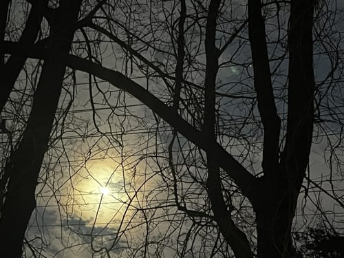 Best Hikes and Trails in Lederer Park | AllTrails