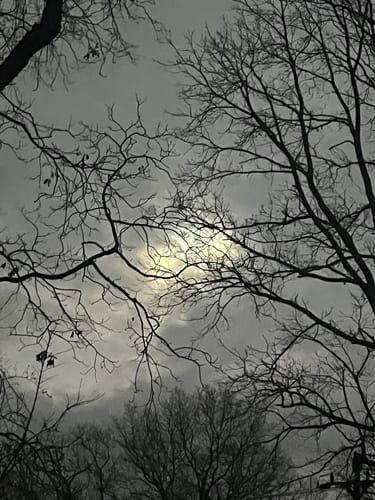 Best Hikes and Trails in Lederer Park | AllTrails