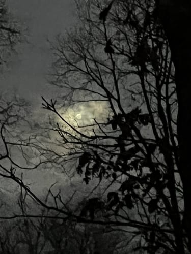 Best Hikes and Trails in Lederer Park | AllTrails