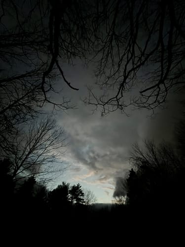 Best Hikes and Trails in Lederer Park | AllTrails