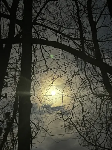 Best Hikes and Trails in Lederer Park | AllTrails