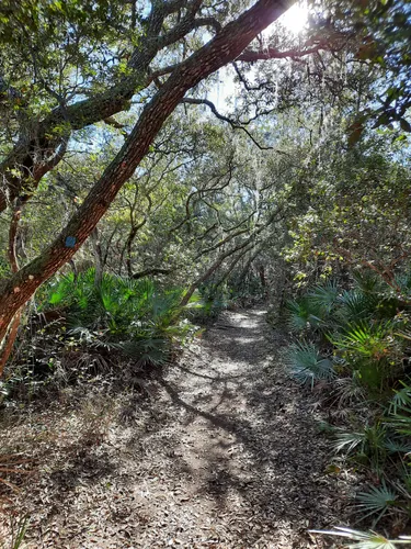 Best Hikes and Trails in Gum Root Park | AllTrails