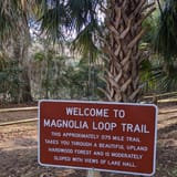 Magnolia Loop, Florida - 11 Reviews, Map | AllTrails