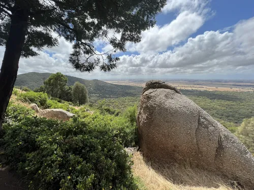 10 Best Walking Trails in You Yangs Regional Park | AllTrails