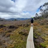 Arm River Track to Mount Ossa, Tasmania, Australia - 36 Reviews, Map ...