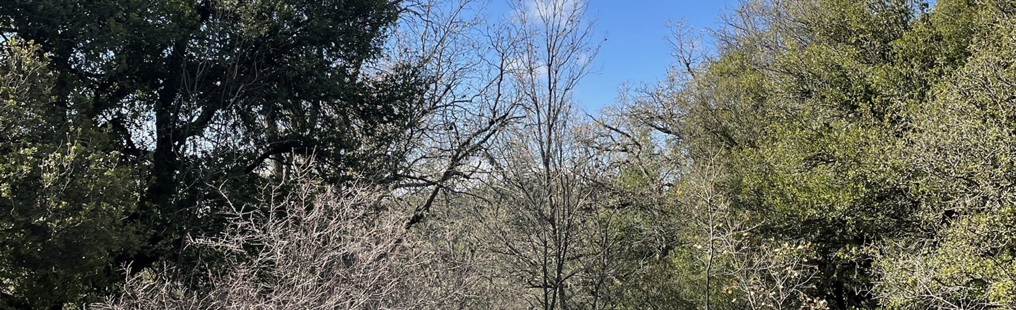 Horsh Ehden Nature Reserve, North, Lebanon - 18 Reviews, Map | AllTrails