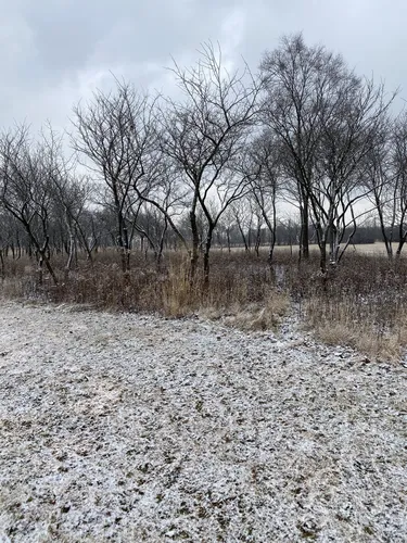 Best Hikes and Trails in Kickapoo Woods | AllTrails