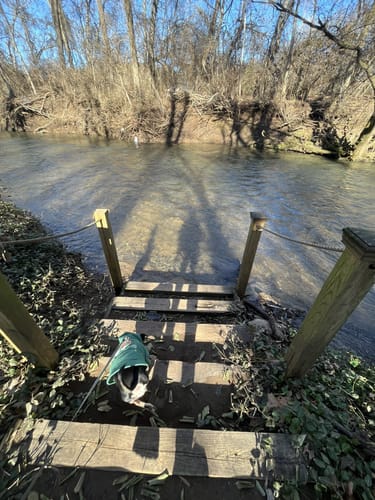 2023 Best trails in Deerwood Arboretum | AllTrails