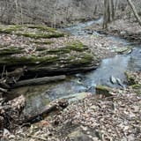Trout Run Trail, Pennsylvania - 308 Reviews, Map | AllTrails