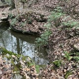 Trout Run Trail, Pennsylvania - 308 Reviews, Map | AllTrails