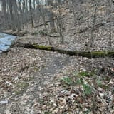 Trout Run Trail, Pennsylvania - 308 Reviews, Map | AllTrails