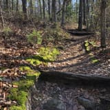 Appalachian Trail, Hosack Run, and Locust Gap Loop, Pennsylvania - 428 ...