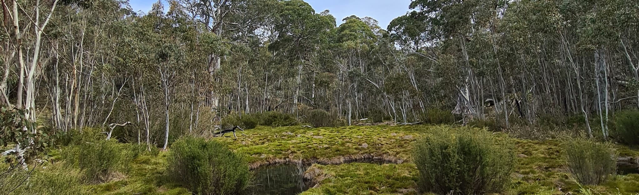The Gorge - Lake Catani and Underground River Track Loop: 15 Reviews ...