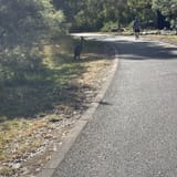 Westerfolds Park Circuit, Victoria, Australia - 393 Reviews, Map ...