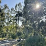 Westerfolds Park Circuit, Victoria, Australia - 393 Reviews, Map ...