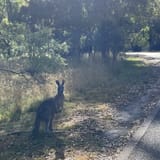 Westerfolds Park Circuit, Victoria, Australia - 373 Reviews, Map ...