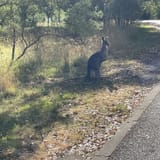 Westerfolds Park Circuit, Victoria, Australia - 373 Reviews, Map ...