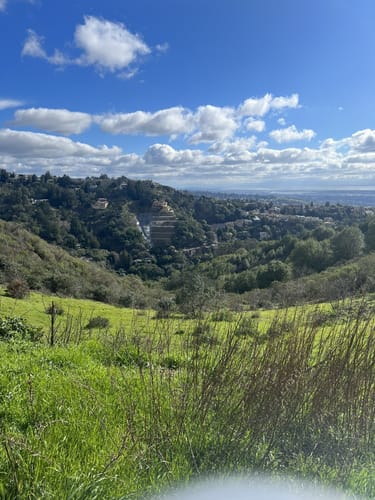 2023 Best 10 Trail Running Trails in Berkeley | AllTrails
