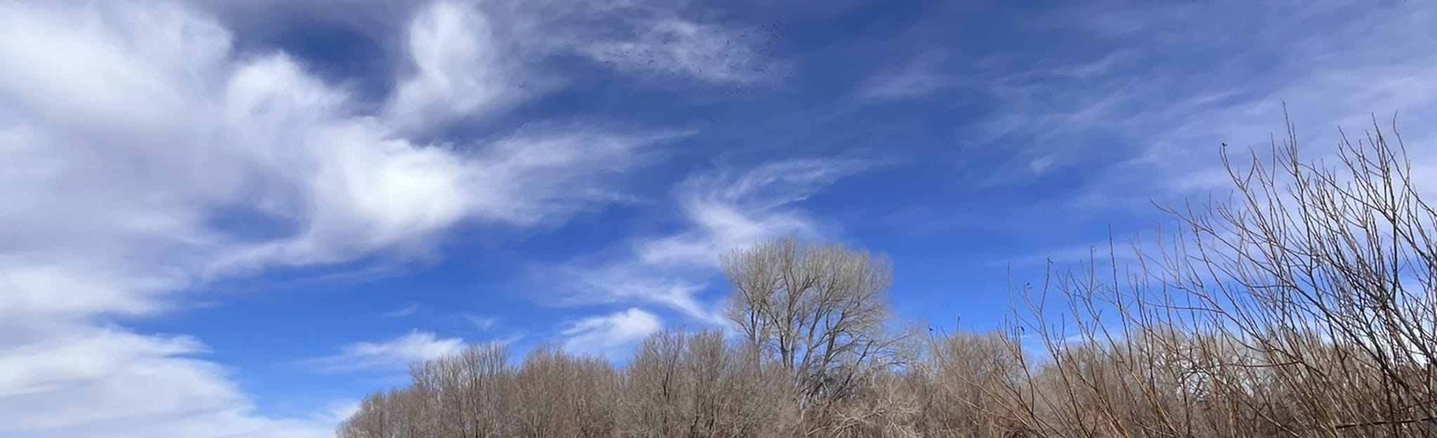 Lake Roberts South Trail, New Mexico - 26 Reviews, Map | AllTrails