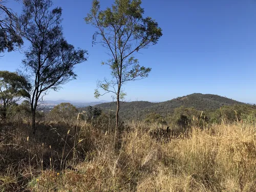 10 Best Hikes and Trails in Mount Ainslie Nature Reserve | AllTrails