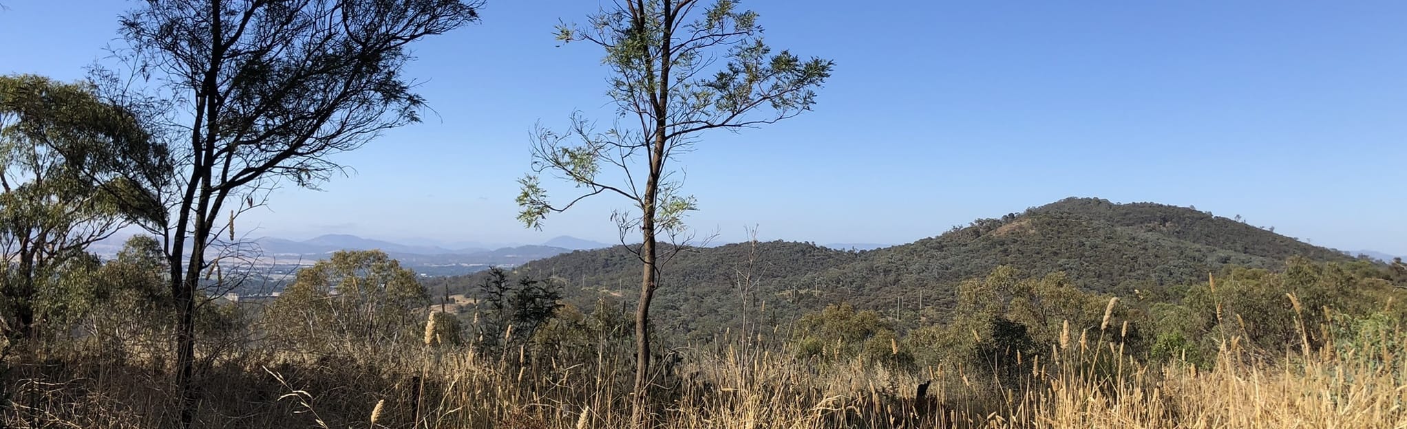Mount Ainslie Nature Reserve Loop, Australian Capital Territory ...
