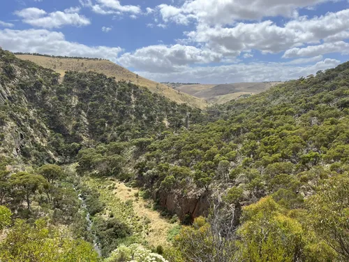 10 Best Trails and Hikes in Victoria | AllTrails