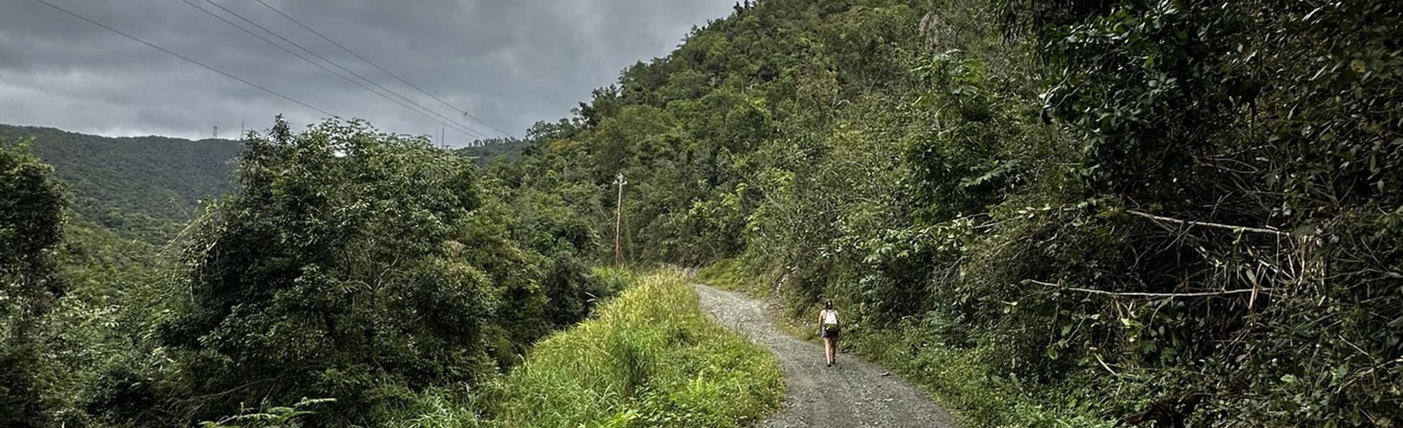 Charco El Pilón Trail: 200 Reviews, Map - West Region, Puerto Rico ...
