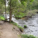 Warburton River Walk, Victoria, Australia - 203 Reviews, Map | AllTrails