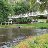 Warburton River Walk, Victoria, Australia - 203 Reviews, Map | AllTrails