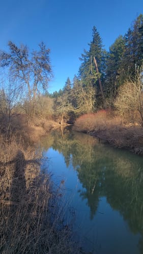 Best Hikes and Trails in Rood Bridge Park | AllTrails