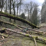 High Point Trail, Washington - 214 Reviews, Map | AllTrails