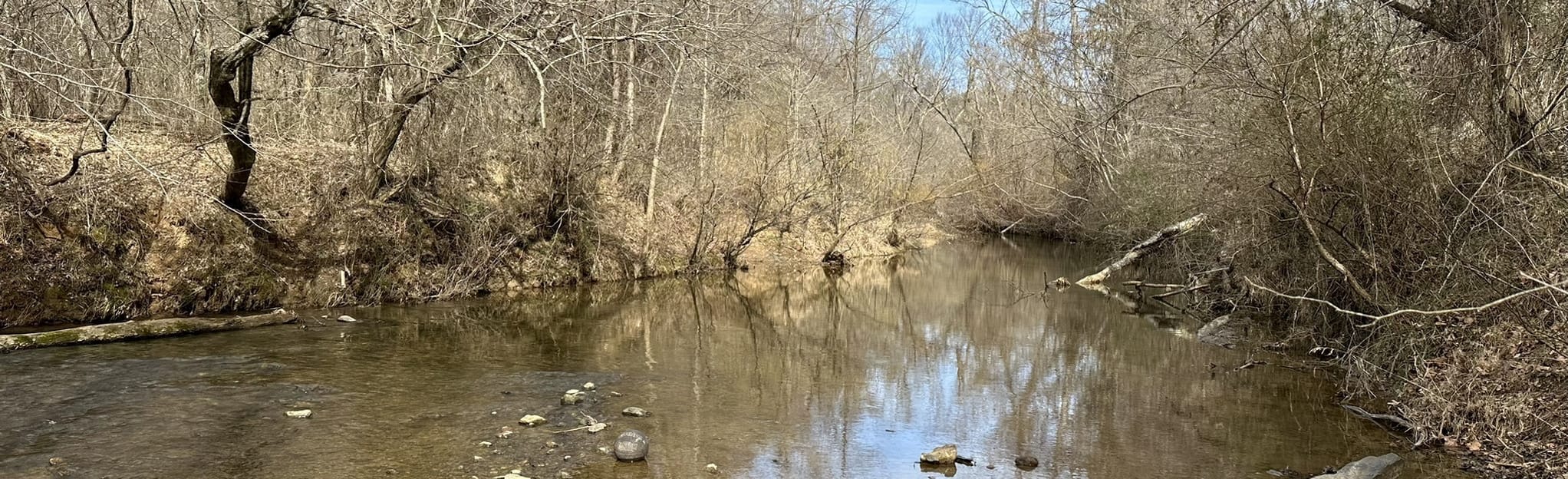 Matrimony Creek Nature Trail, North Carolina - 80 Reviews, Map | AllTrails