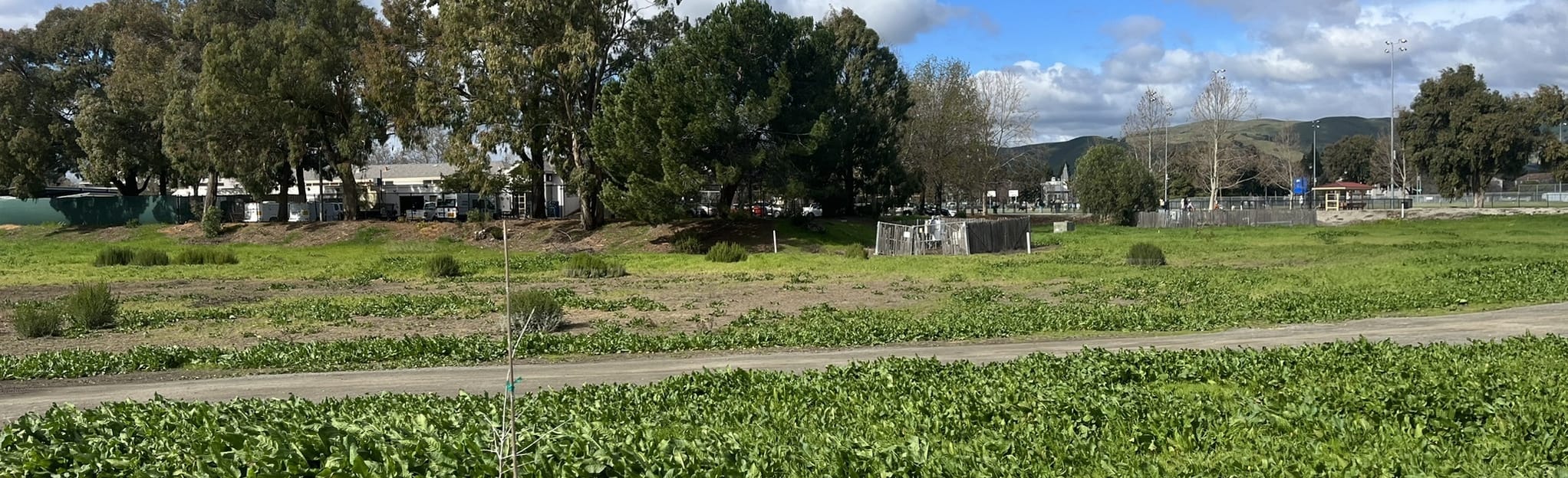 Lake Elizabeth, California - 1,761 Reviews, Map | AllTrails